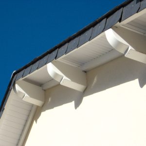 Protège-pannes PVC pour débords de toit | M.E.P